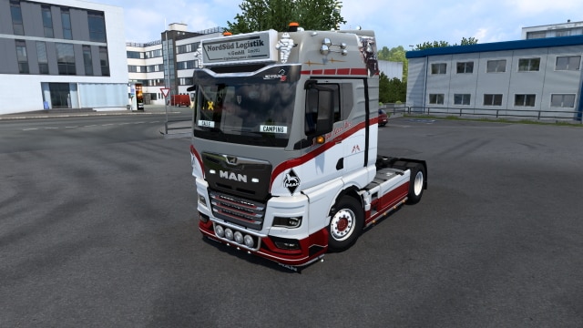SCS MAN TGX 2020 skin - ETS2 mods download
