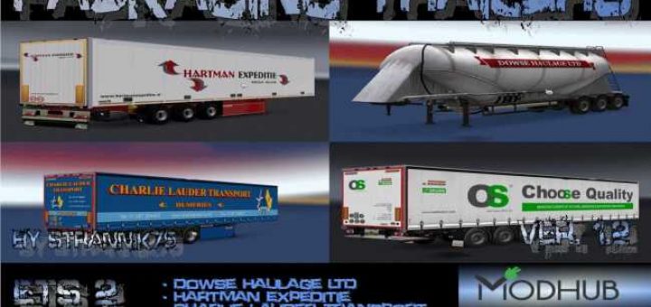 Ownable Nooteboom OSDS-48-03V Trailer - 1.45 - ETS2 mods | Euro truck ...