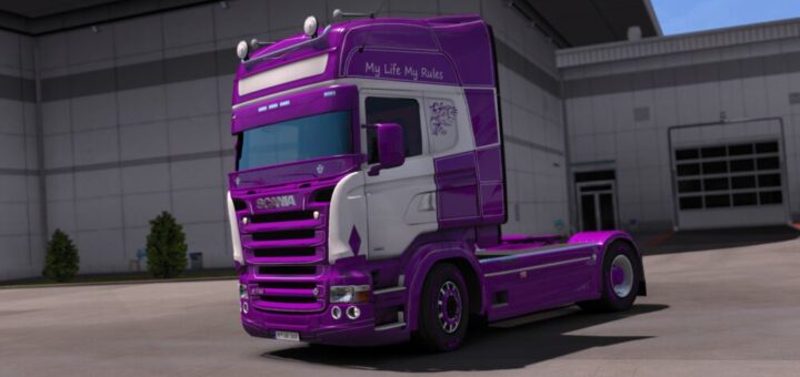 ETS2 Skin | Euro truck simulator 2 skins mods
